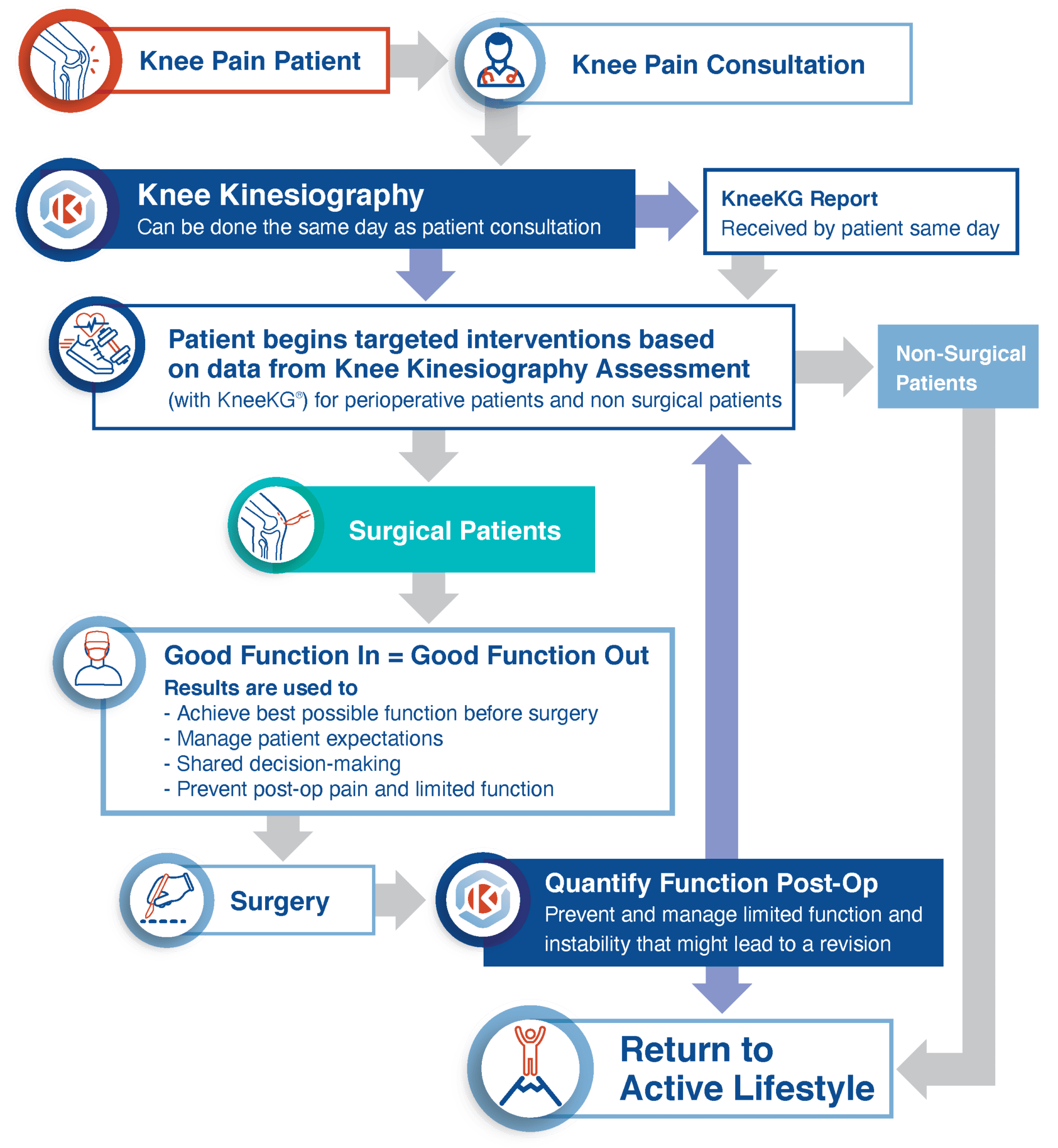 Integrate KneeKG System in Your Practice | EMOVI® | KNEEKG®